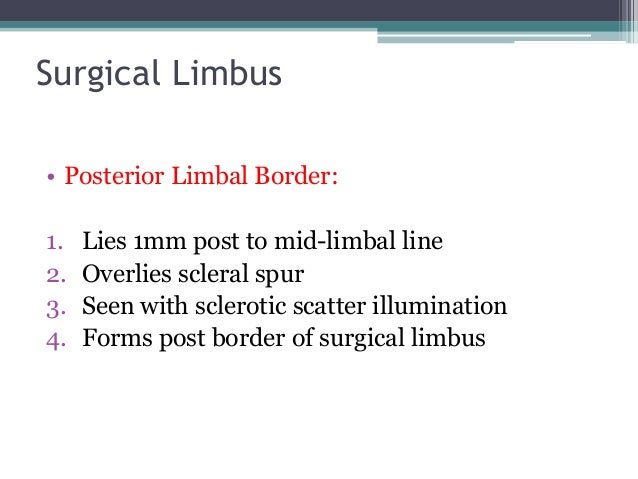 The limbus