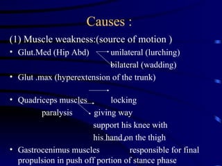 The limping child dr. ibrahim rakha | PPT