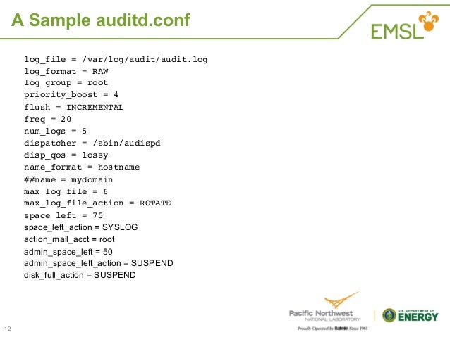 The Linux Audit Framework 