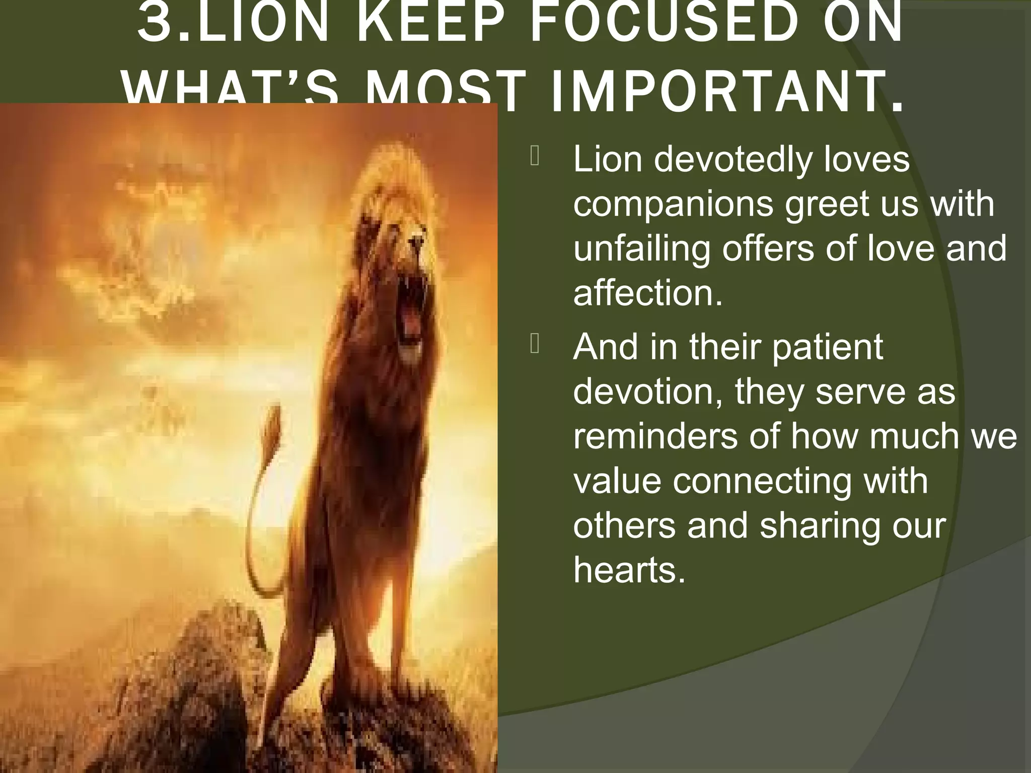 The Lion As aTeacher- by Jafari Manzuri | PPT