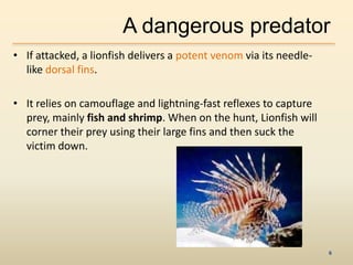 The lionfish | PPTX