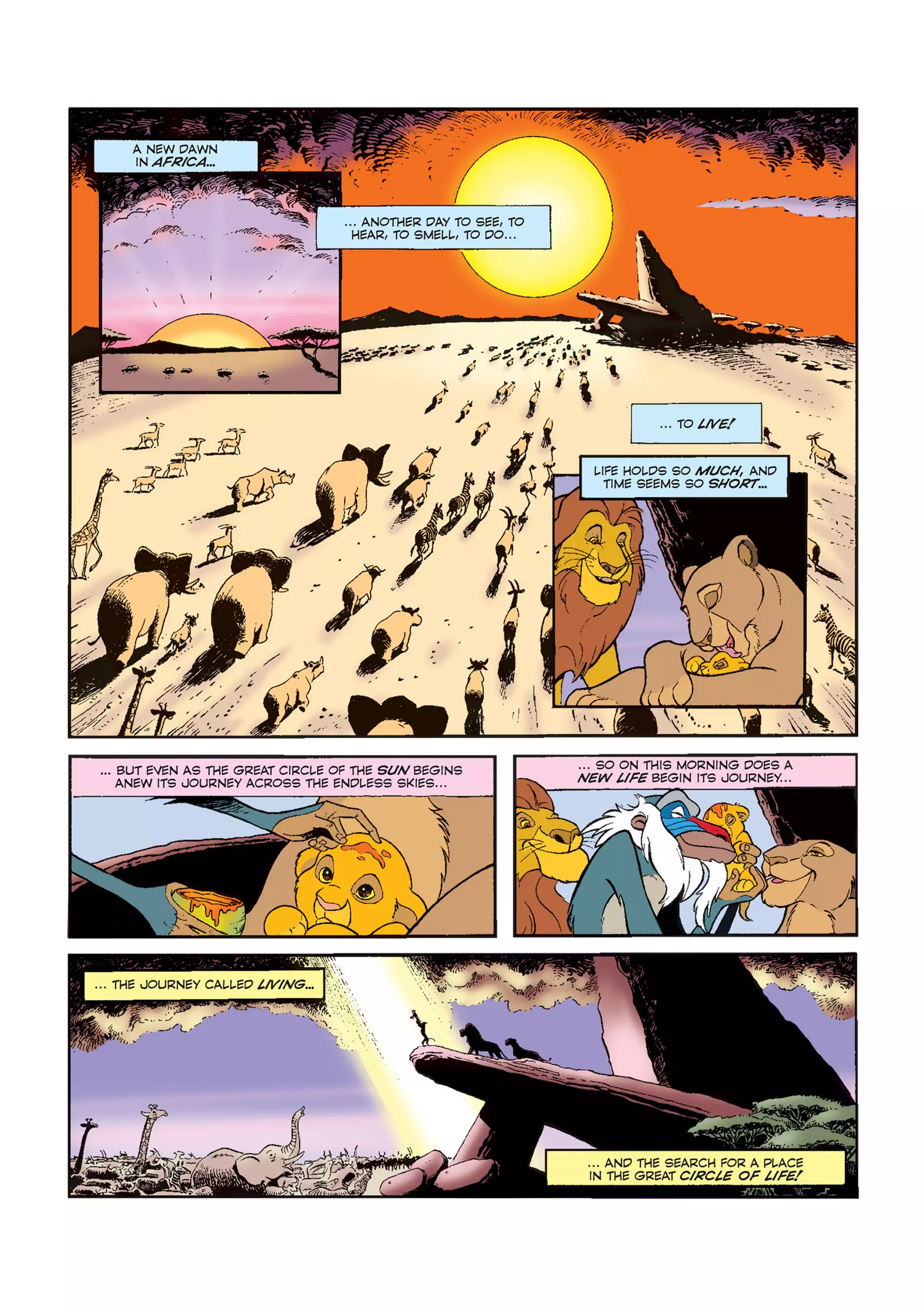 The lion king | PDF