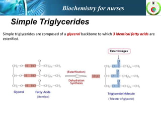 The lipids | PPTX