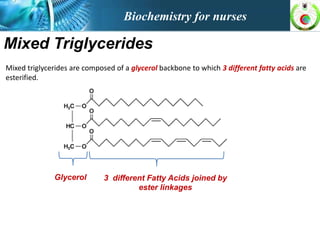 The lipids | PPTX