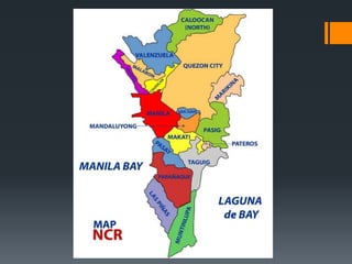 The literature of national capital region (introduction) | PPTX