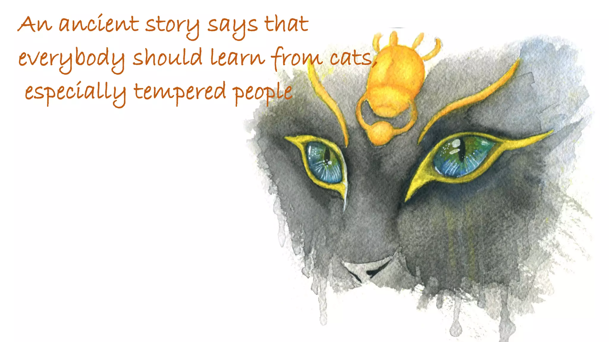 The little cat philosophy | PPT