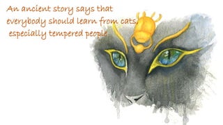 The little cat philosophy | PPT
