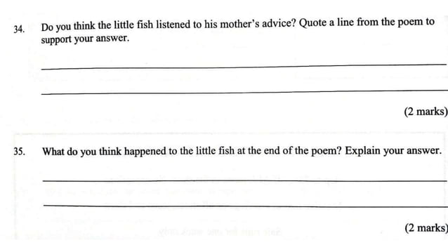 The little fish poem comprehension | PPTX