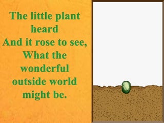 Poem - The little plant ( class 2 ) | PPTX