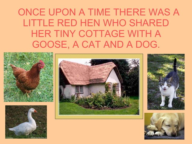 The little red hen | PPT