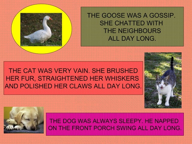 The little red hen | PPT