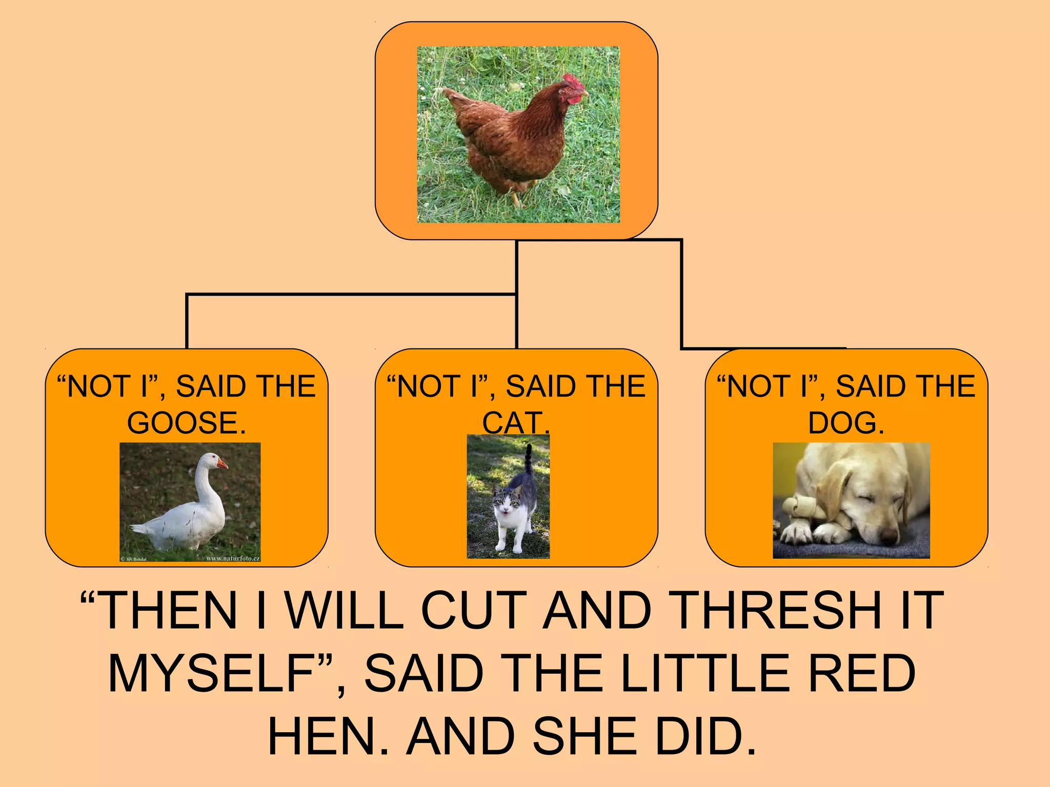 The little red hen | PPT