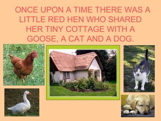 The little red hen | PPT