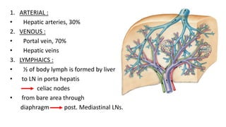 The Anatomy Of The Liver & The biliary system | PPTX