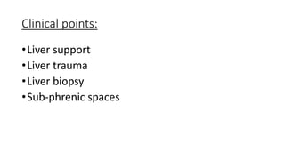 The Anatomy Of The Liver & The biliary system | PPTX