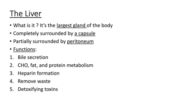 The Anatomy Of The Liver & The biliary system | PPTX