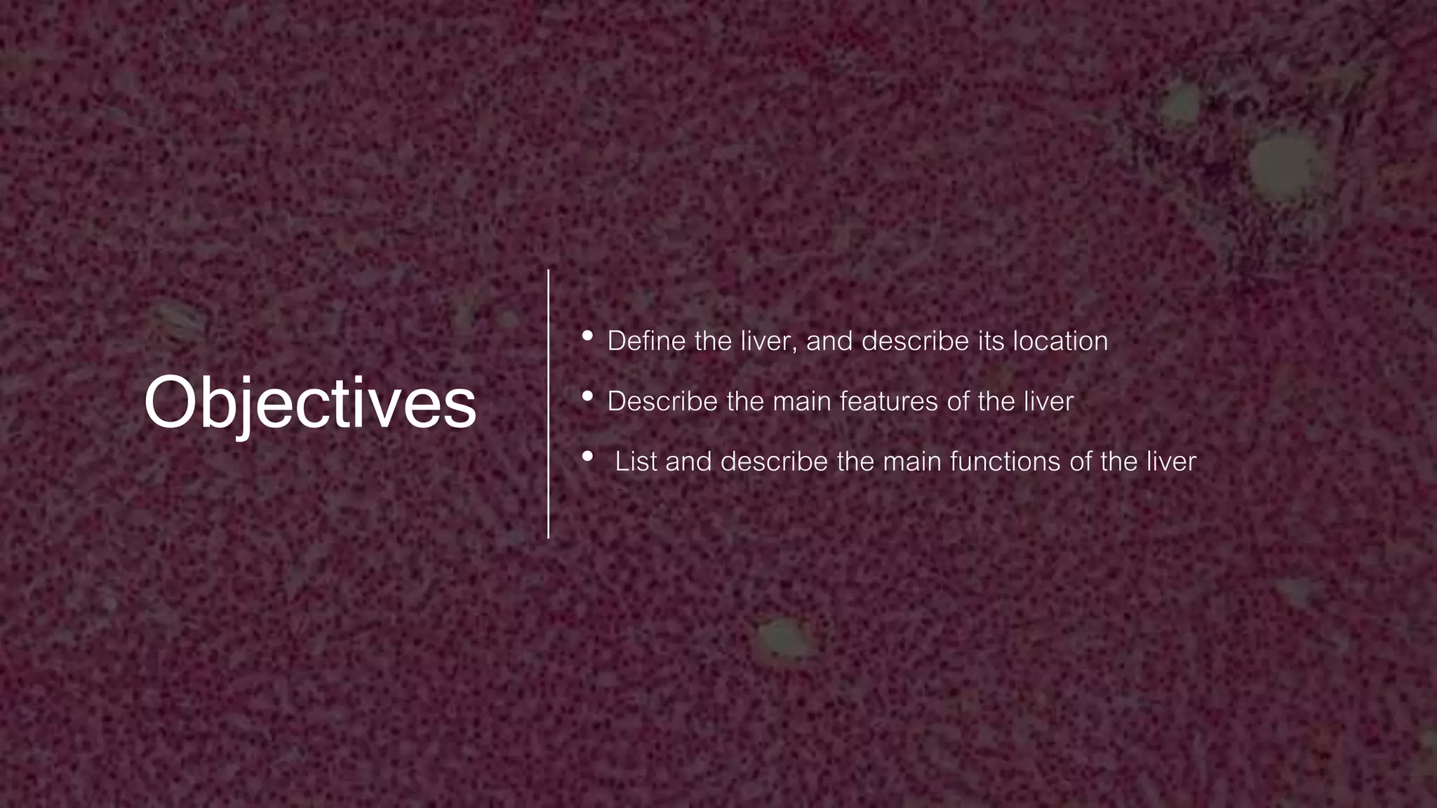 The liver anatomy and physiology | PPTX