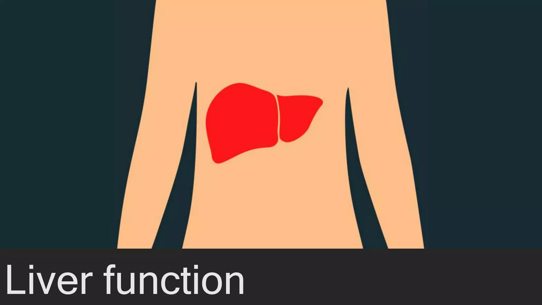 The liver anatomy and physiology | PPTX