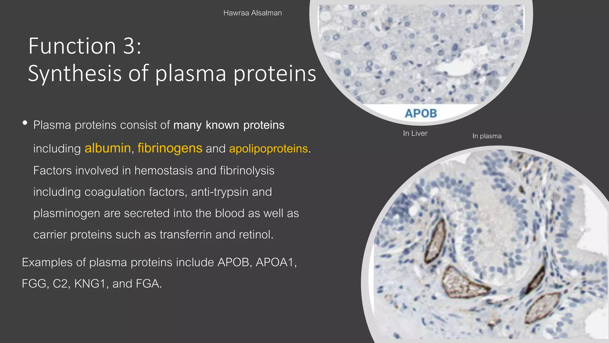 The liver anatomy and physiology | PPTX