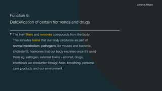 The liver anatomy and physiology | PPTX | Endocrine and Metabolic ...