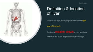 The liver anatomy and physiology | PPTX | Endocrine and Metabolic ...