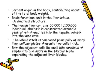 The liver as an organ | PPT