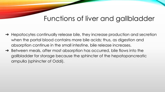 The Liver & Gallbladder (Anatomy & Physiology).pptx