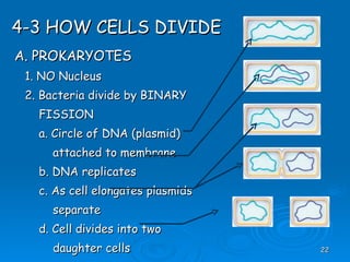 The Living Cell | PPT