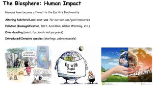Comprehensive Overview of Earth's Biosphere and Ecological Interactions ...