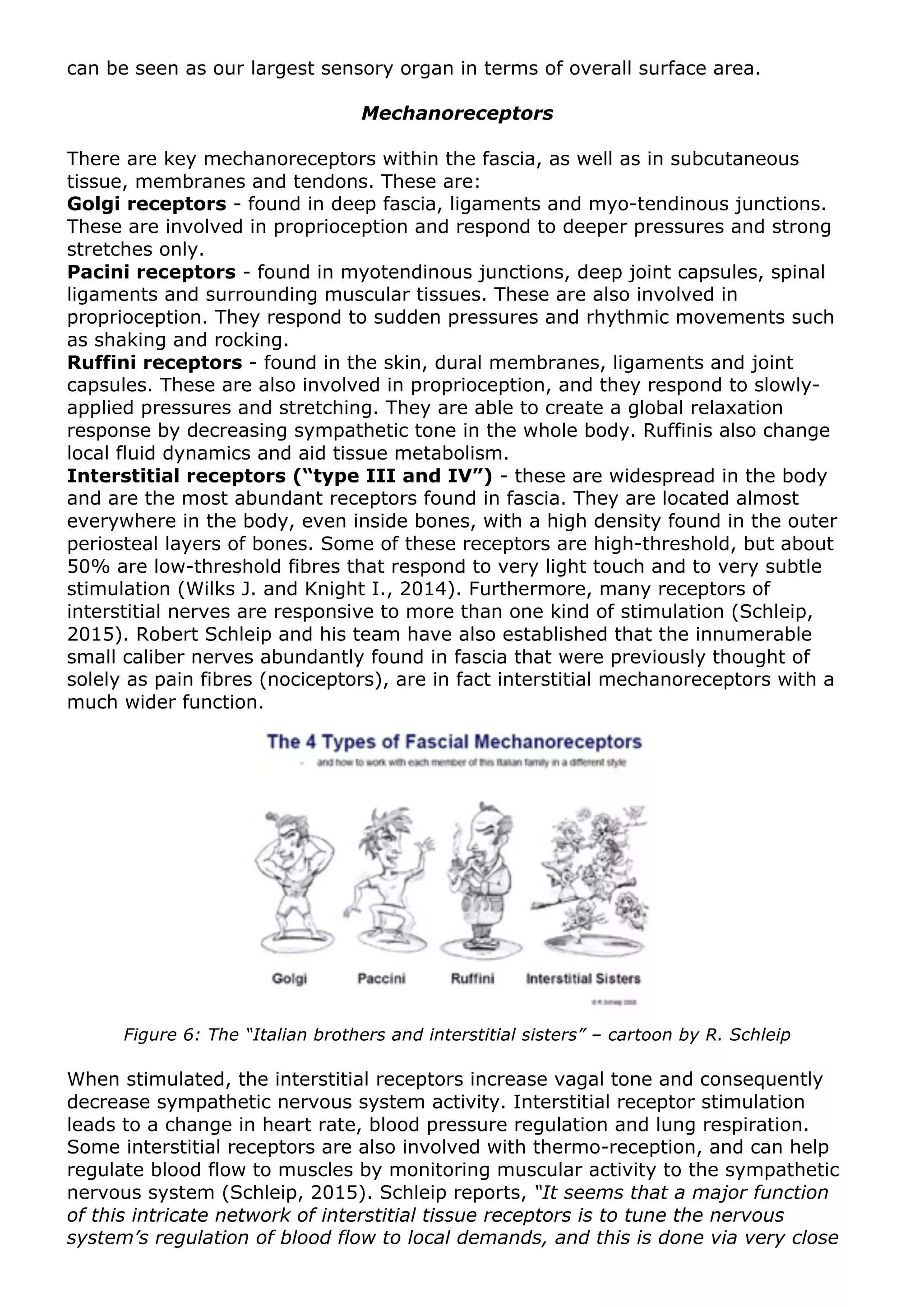 The Living Matrix | PDF