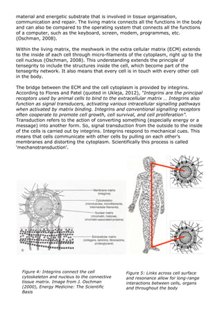 The Living Matrix | PDF