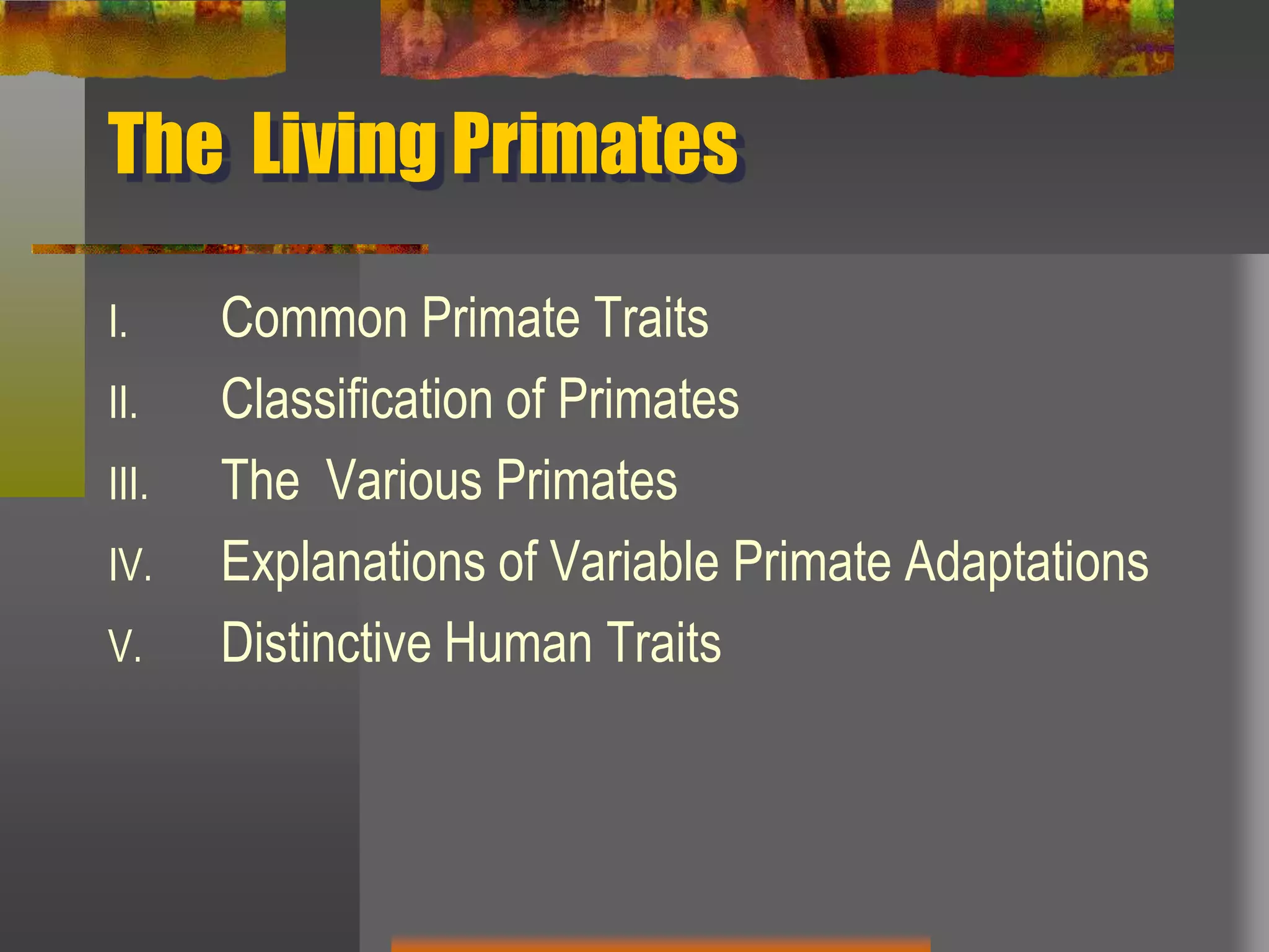 The living primates | PPTX | Geography | Science