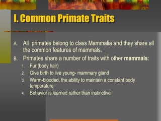 The living primates | PPTX | Geography | Science