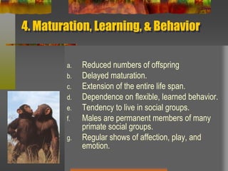 The living primates | PPTX