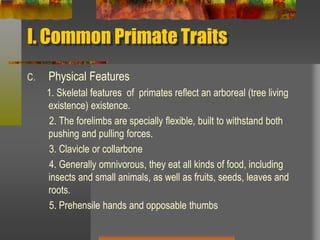 The living primates | PPTX