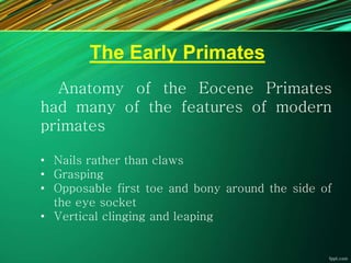 The living primates | PPT
