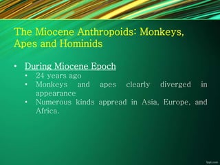 The living primates | PPT