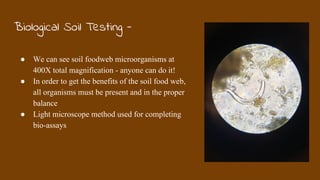 The Living Soil | PDF