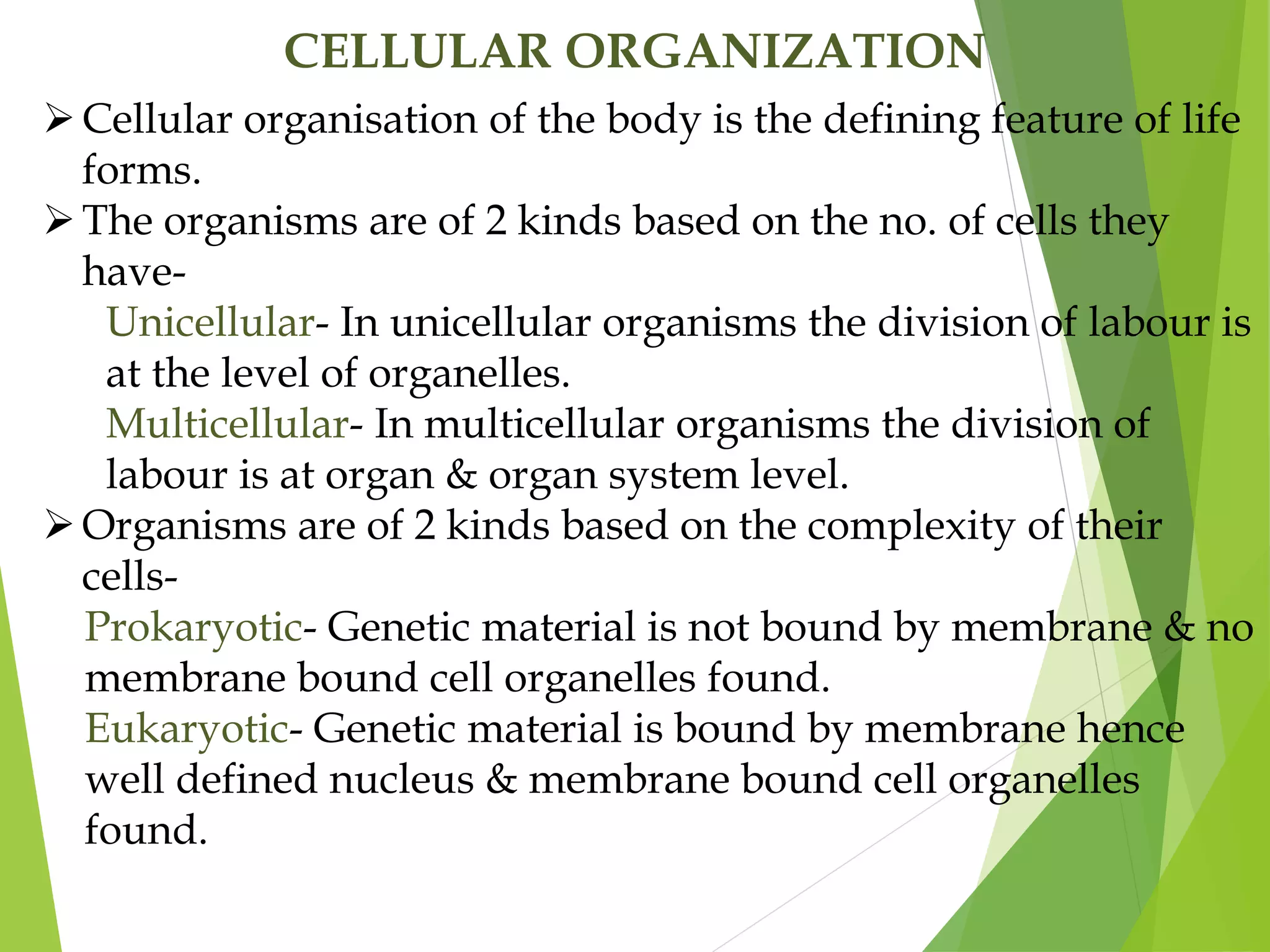 The living world Class XI | PPTX