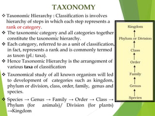 The living world Class XI | PPTX