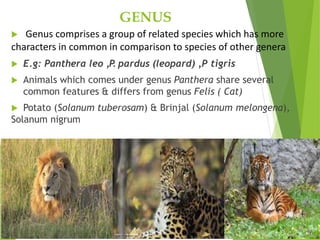 The living world Class XI | PPTX