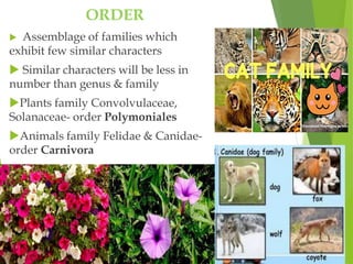 The living world Class XI | PPTX