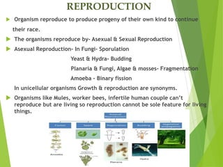 The living world Class XI | PPTX