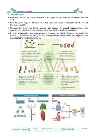 Detailed Study Material on Class 11 Biology - The Living World in pdf | PDF