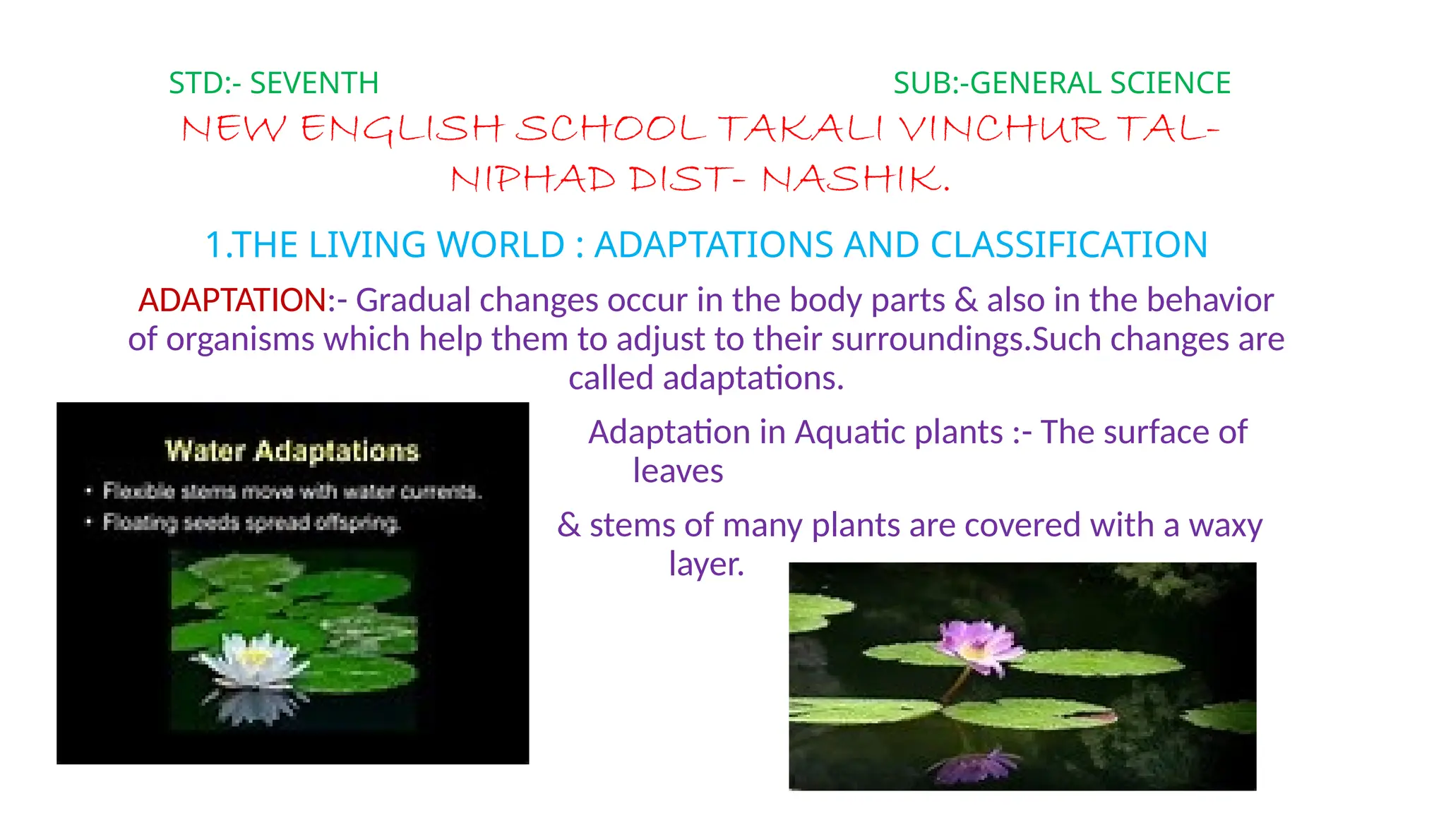 The living world- Adaptations and classification class - 7.pptx