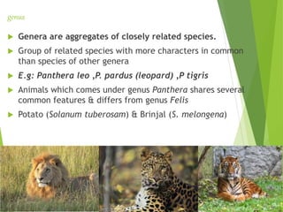 The living world ppt | PPTX