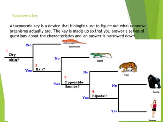 The living world ppt | PPTX