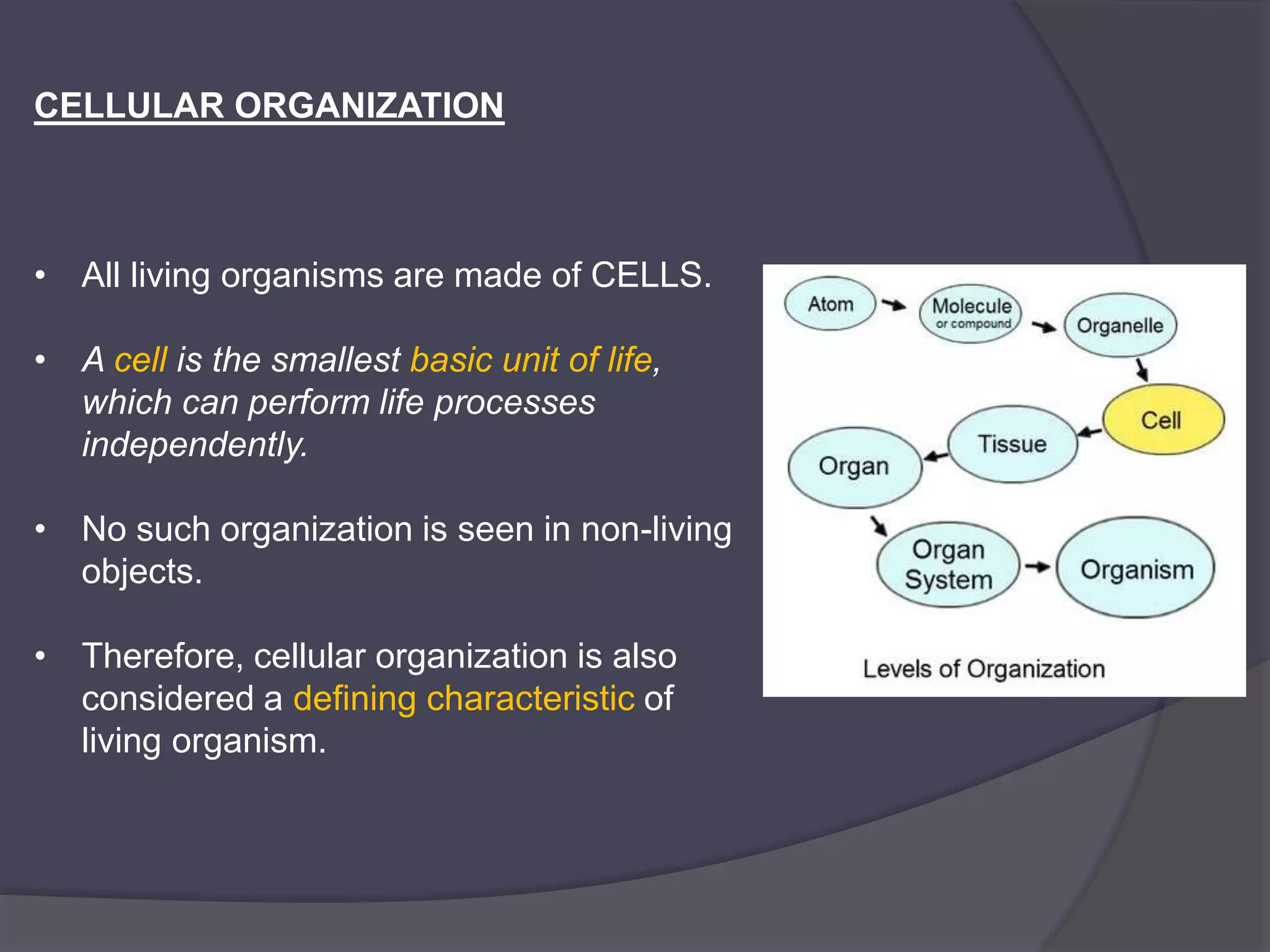 The living world Class 11 NCERT | PPTX