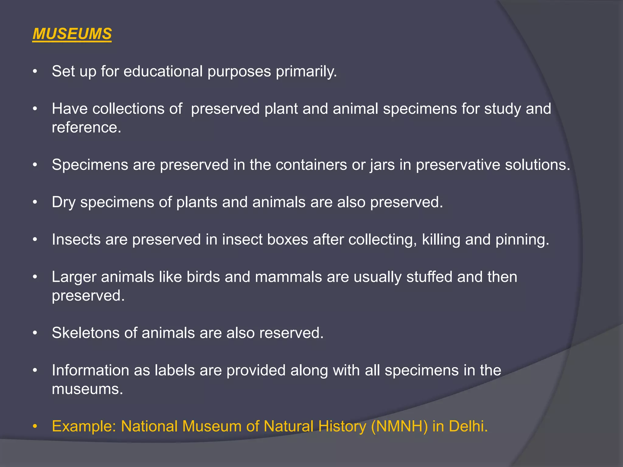 The living world Class 11 NCERT | PPTX