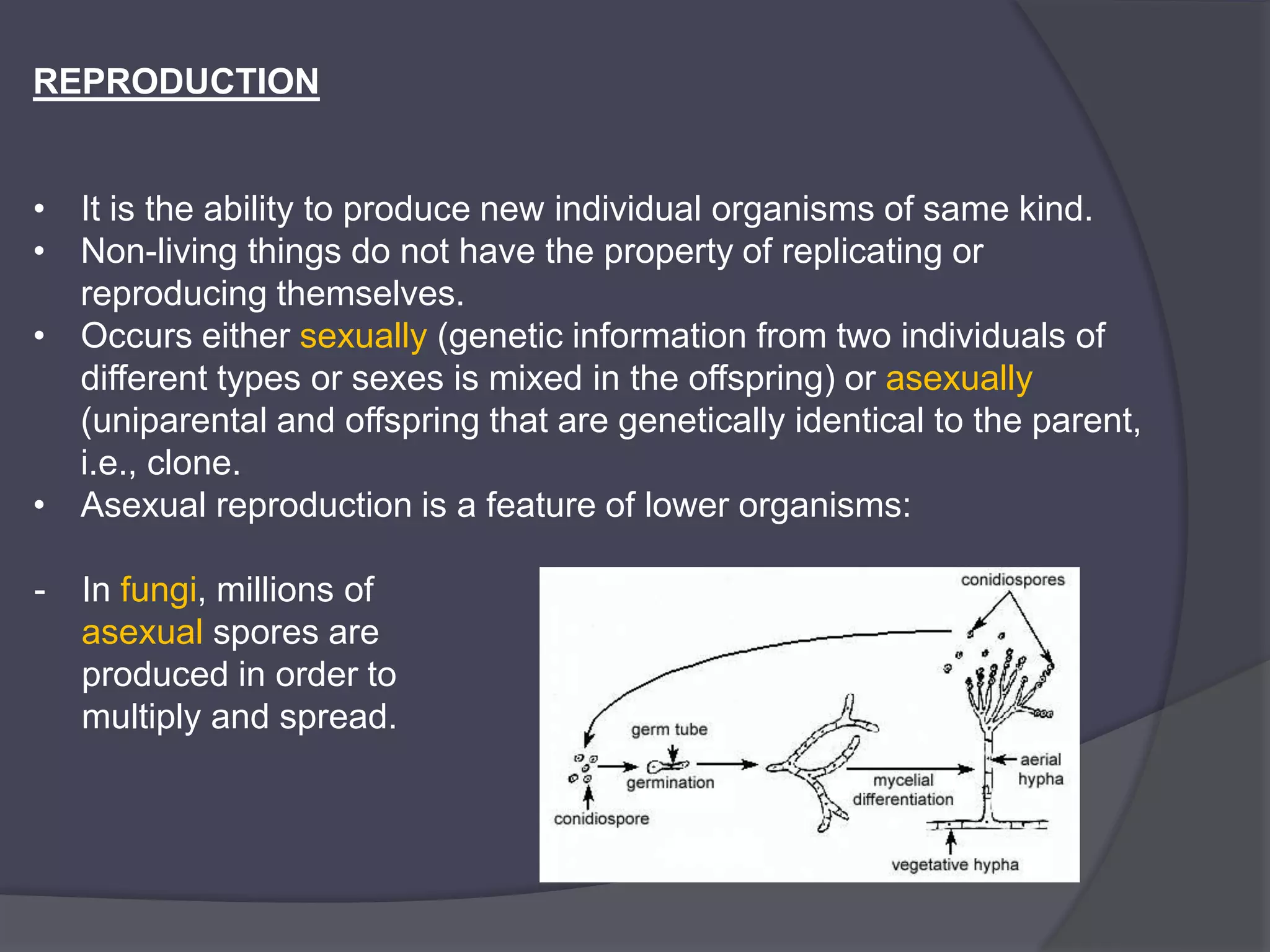 The living world Class 11 NCERT | PPTX